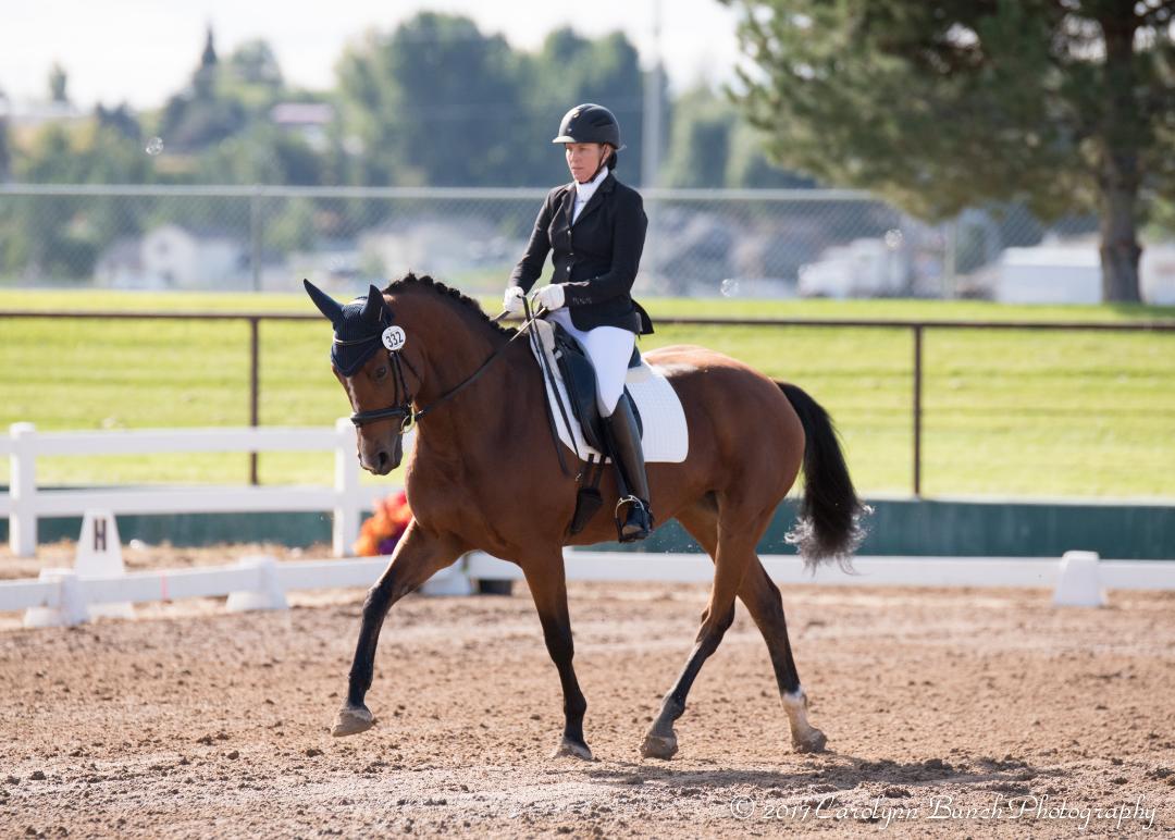 Trainers – Unison Dressage Training